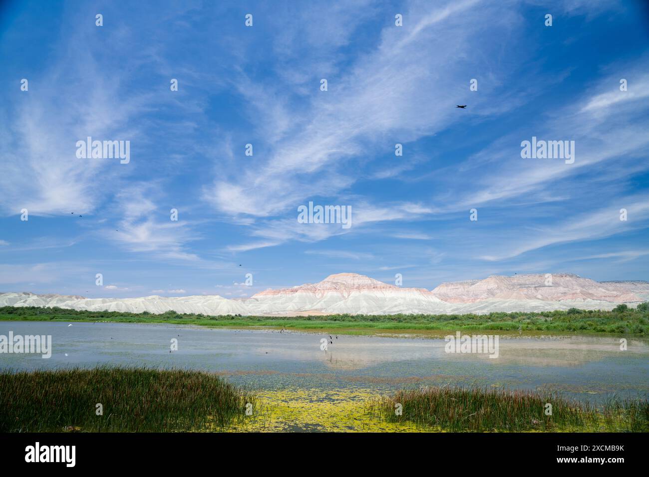 Migratory birds in geologically formed mountains and national parks ...
