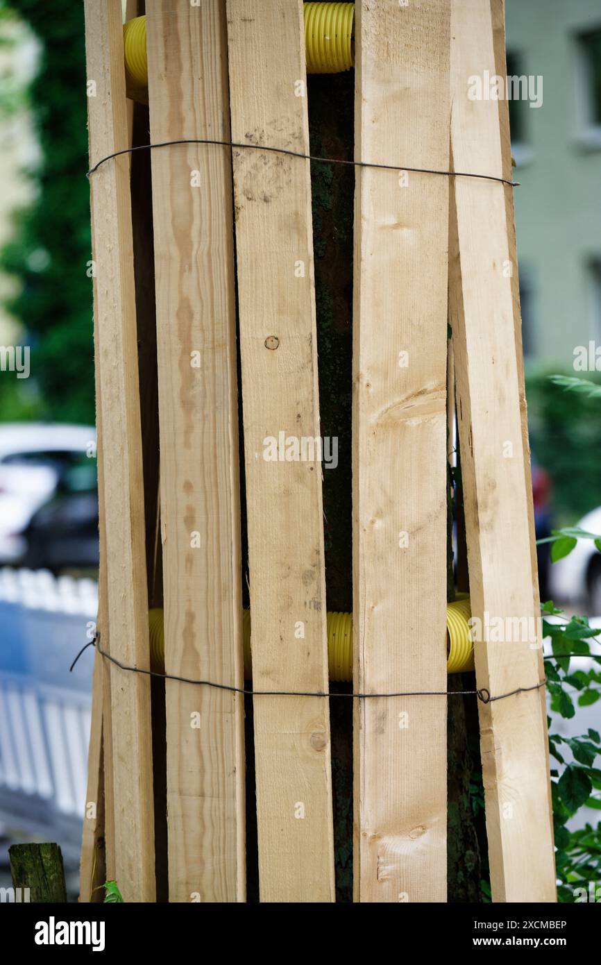 tree protection with wooden slats during work on a road construction ...