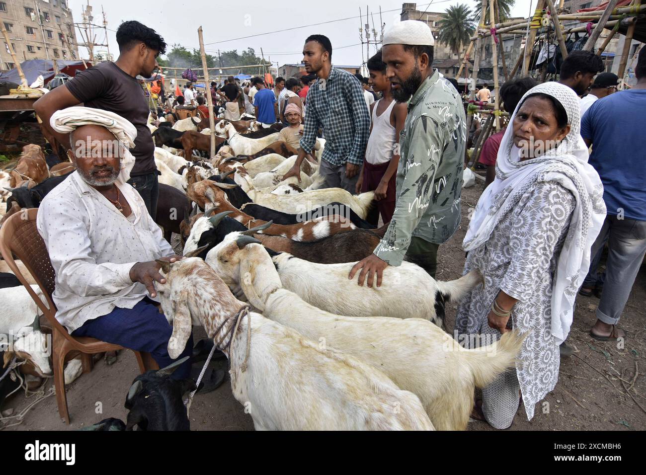 Khidderpore goat market hi-res stock photography and images - Alamy