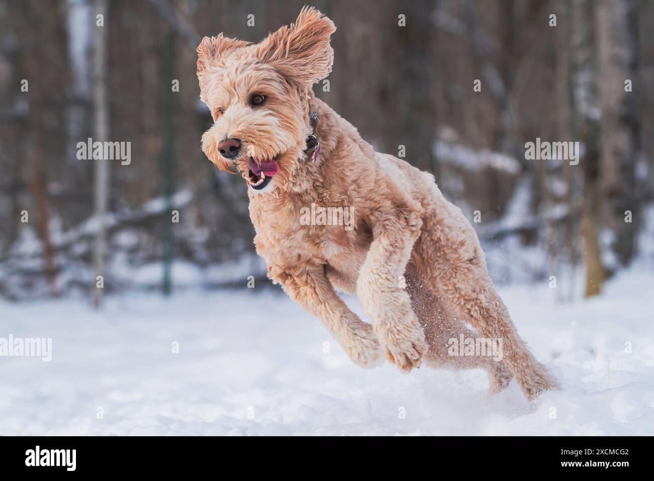 Happy doodle hi-res stock photography and images - Alamy
