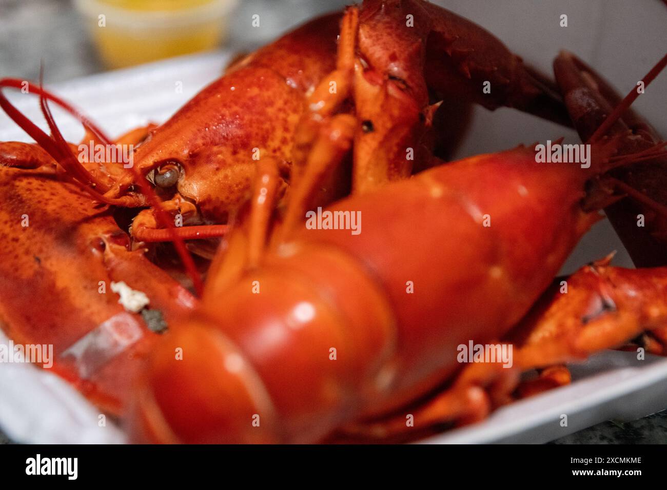 Fully Cooked Lobster from a crane game Stock Photo - Alamy