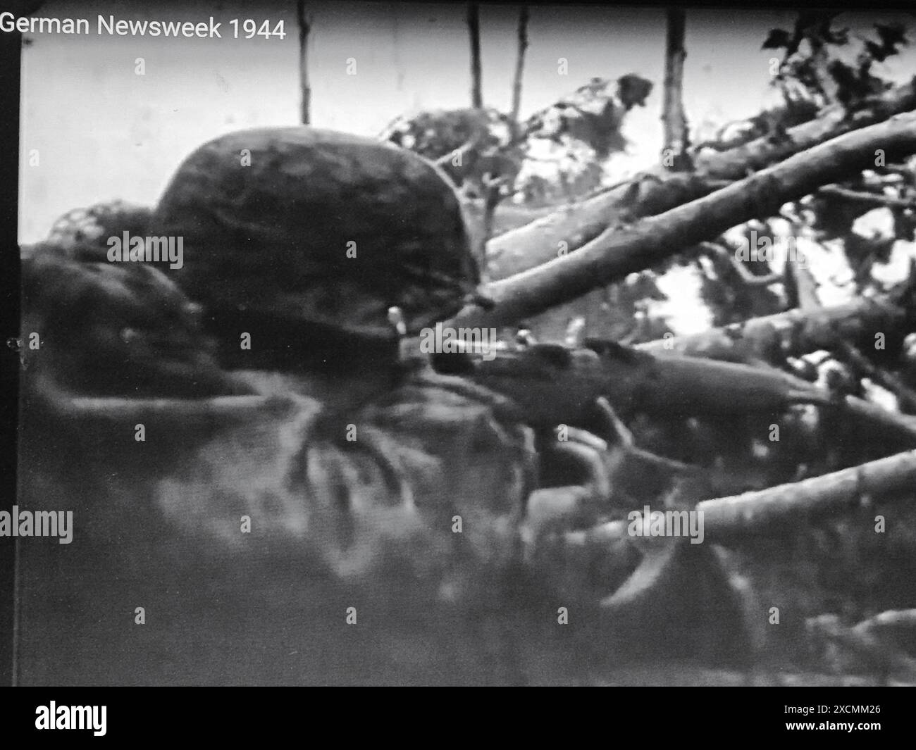 Waffen ss soldier hi-res stock photography and images - Alamy