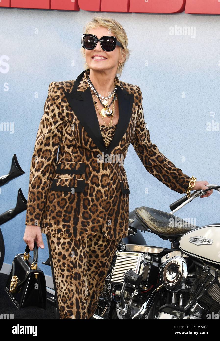 Hollywood, Ca. 17th June, 2024. Sharon Stone at The Bikeriders LA ...