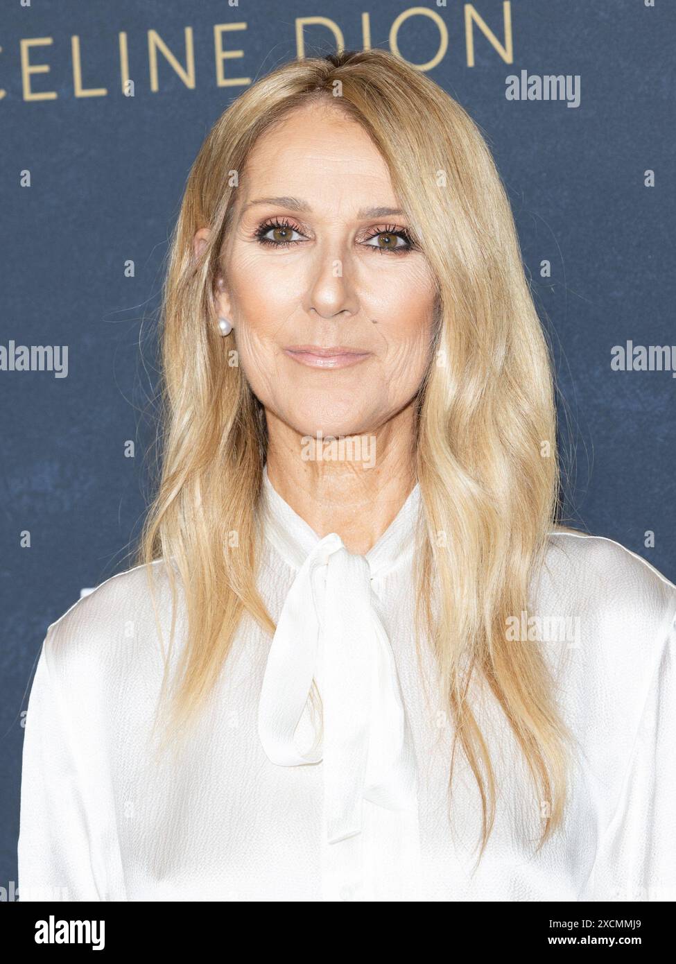 I am celine dion 2024 hi-res stock photography and images - Alamy