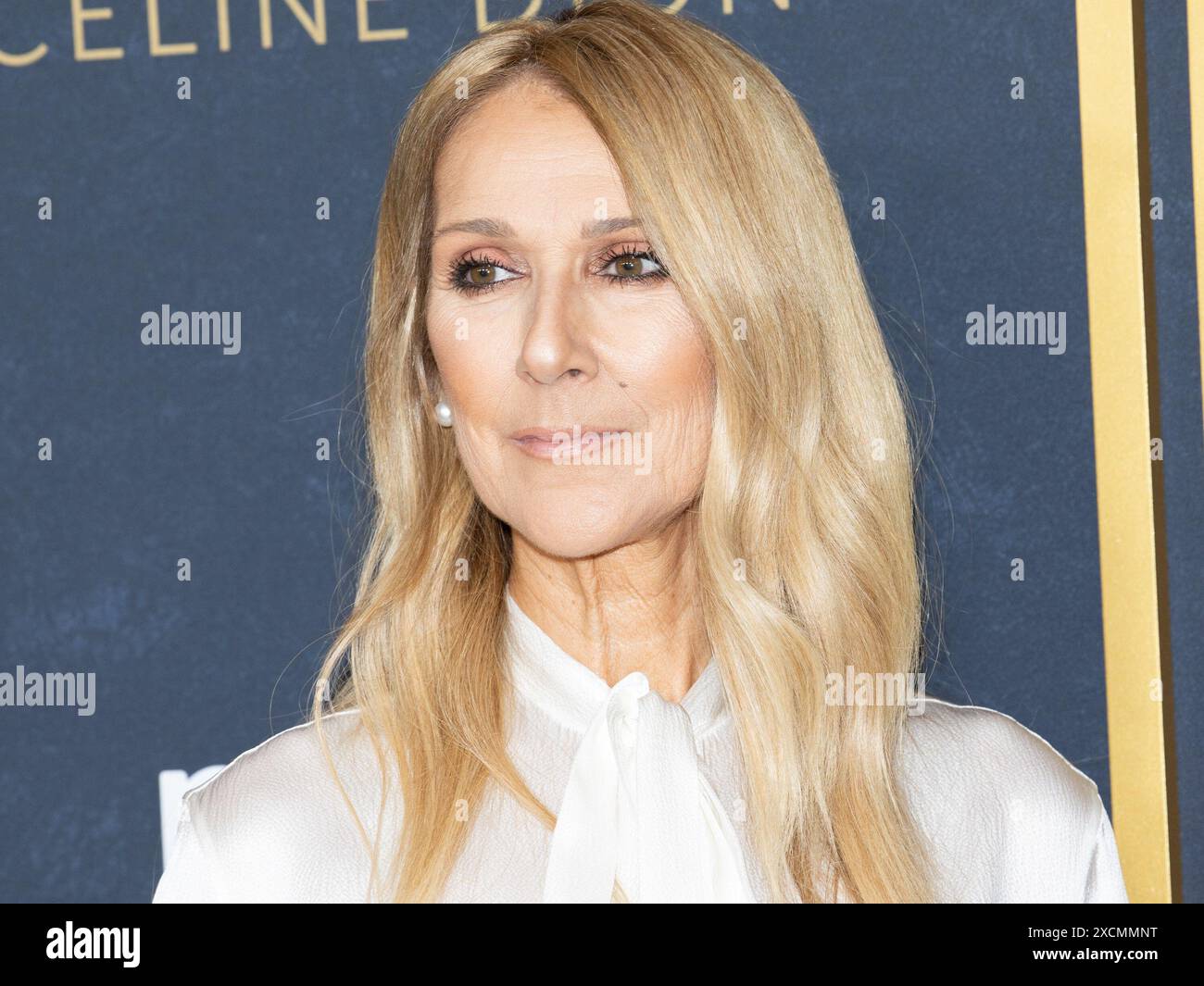 I am celine dion 2024 hi-res stock photography and images - Alamy