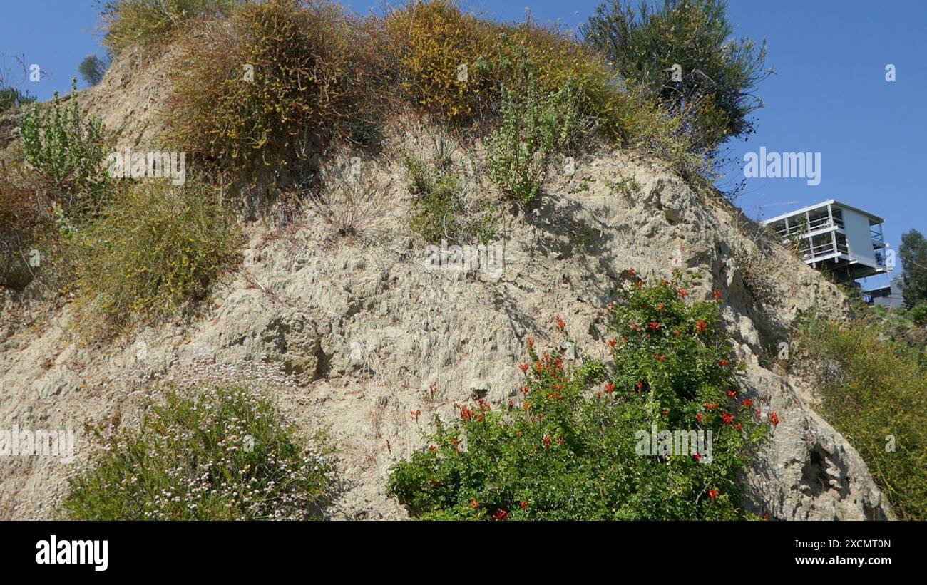Los Angeles, California, USA 14th June 2024 Producer Oscar Chadwick ...