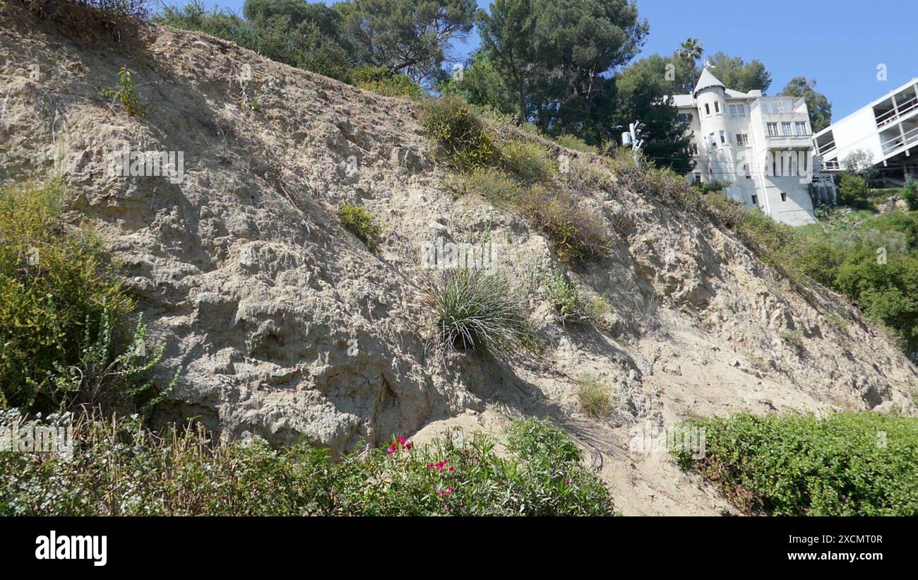 Los Angeles, California, USA 14th June 2024 Producer Oscar Chadwick ...