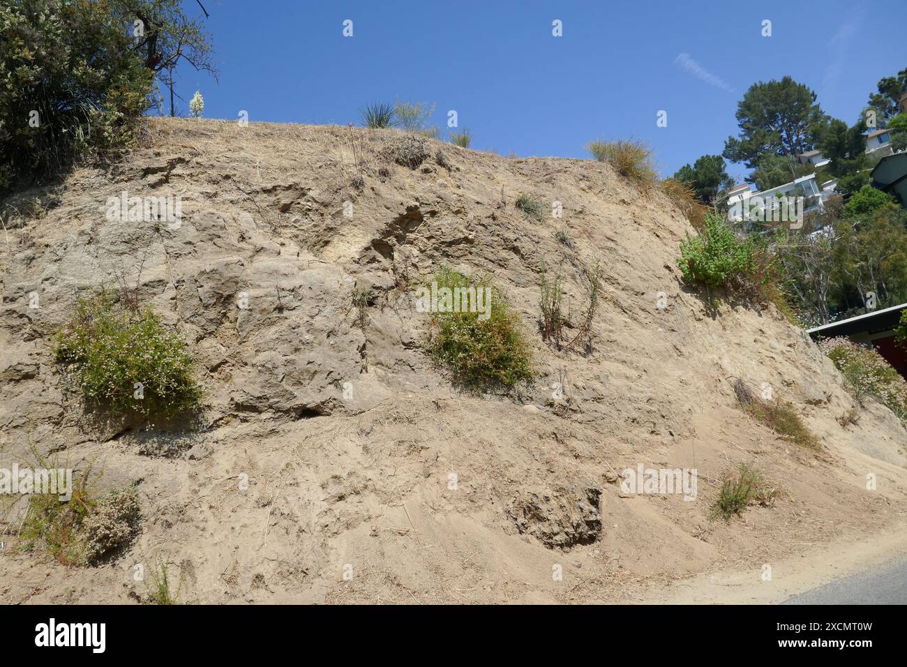 Los Angeles, California, USA 14th June 2024 Producer Oscar Chadwick ...