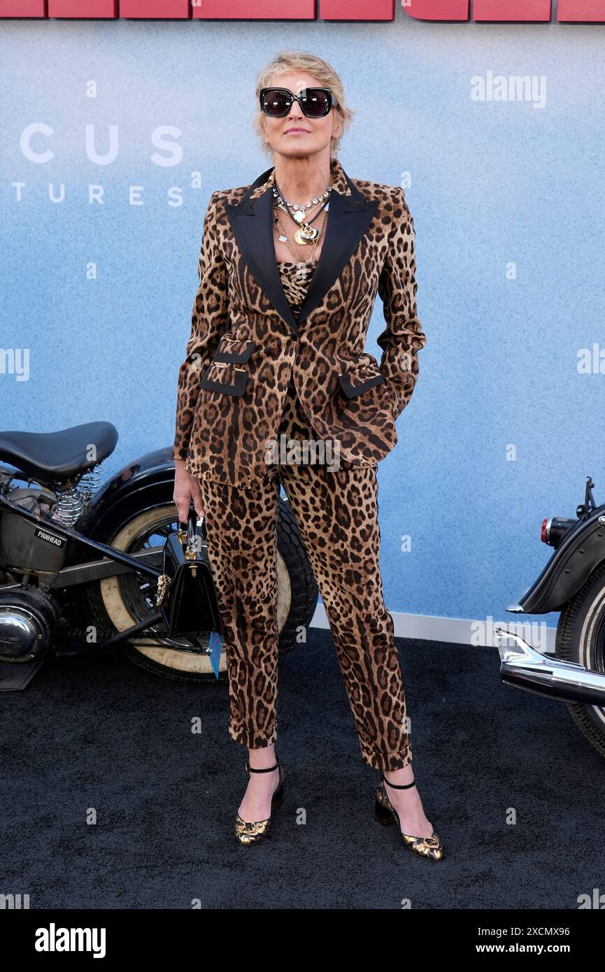 Sharon Stone poses at the premiere of the film "The Bikeriders" at the ...