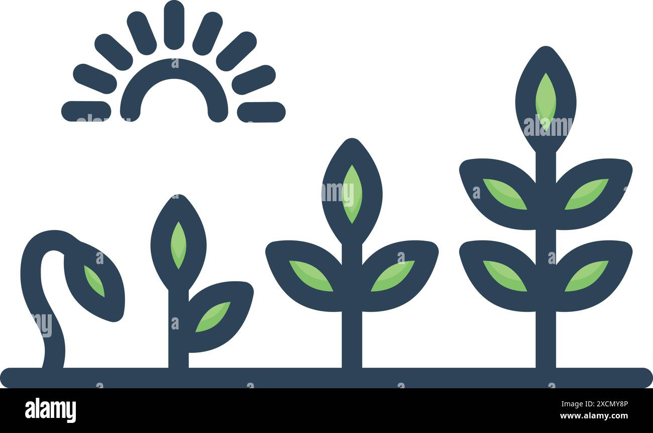 Icon for evolution,development Stock Vector Image & Art - Alamy