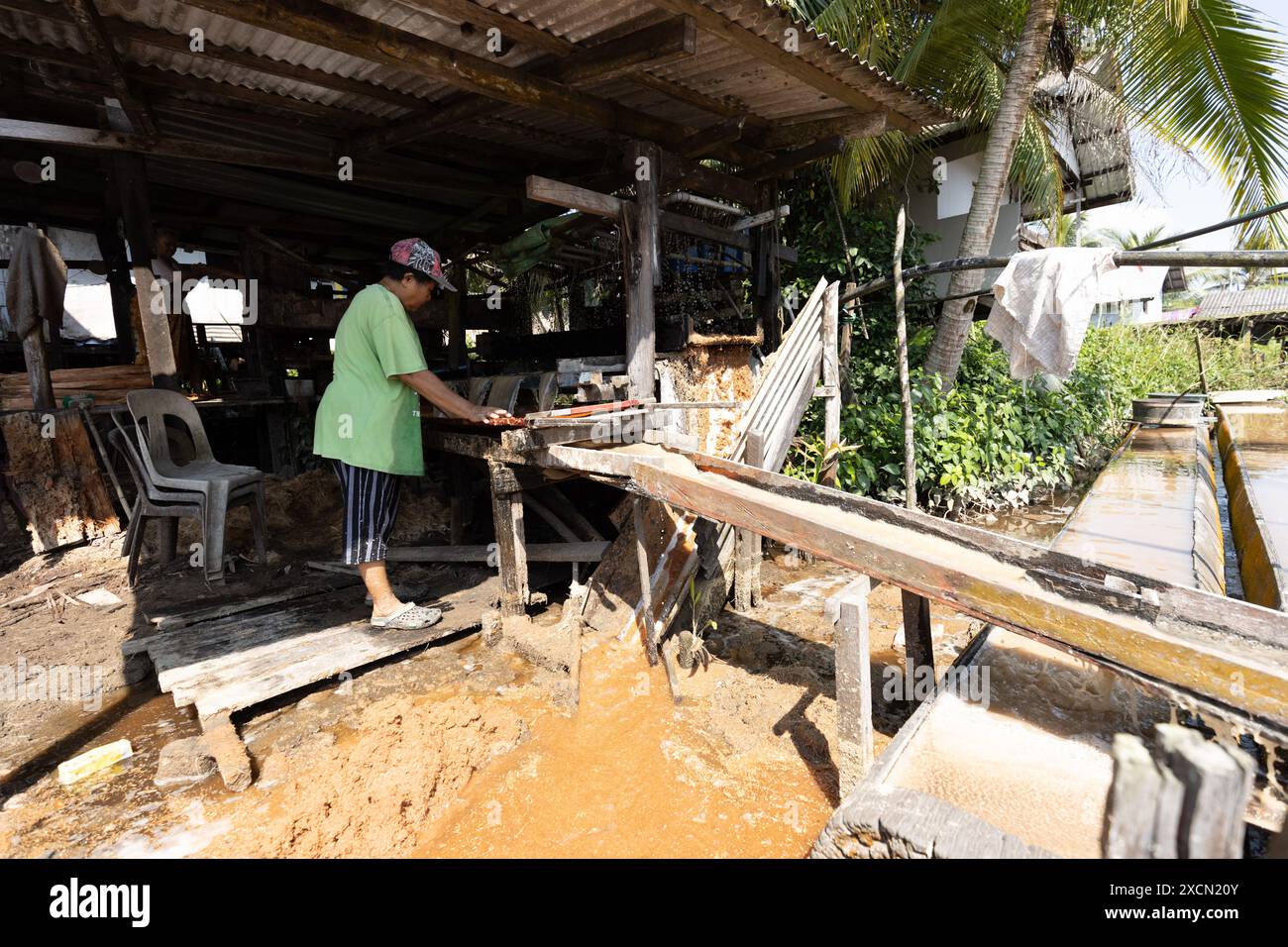 A woman processes sago stalks to make flour Stock Photo - Alamy