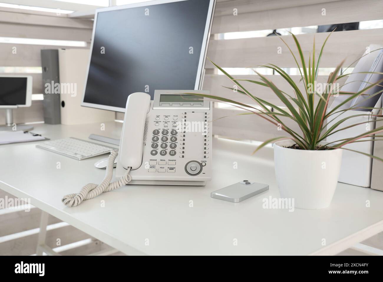Telephone with computer and plant on reception desk in clinic, closeup ...