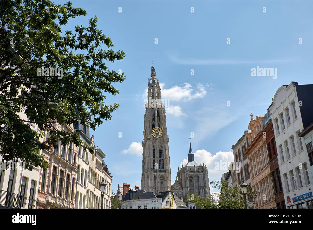 Bell tower and Gothic facade of the Cathedral of Our Lady in Antwerp ...