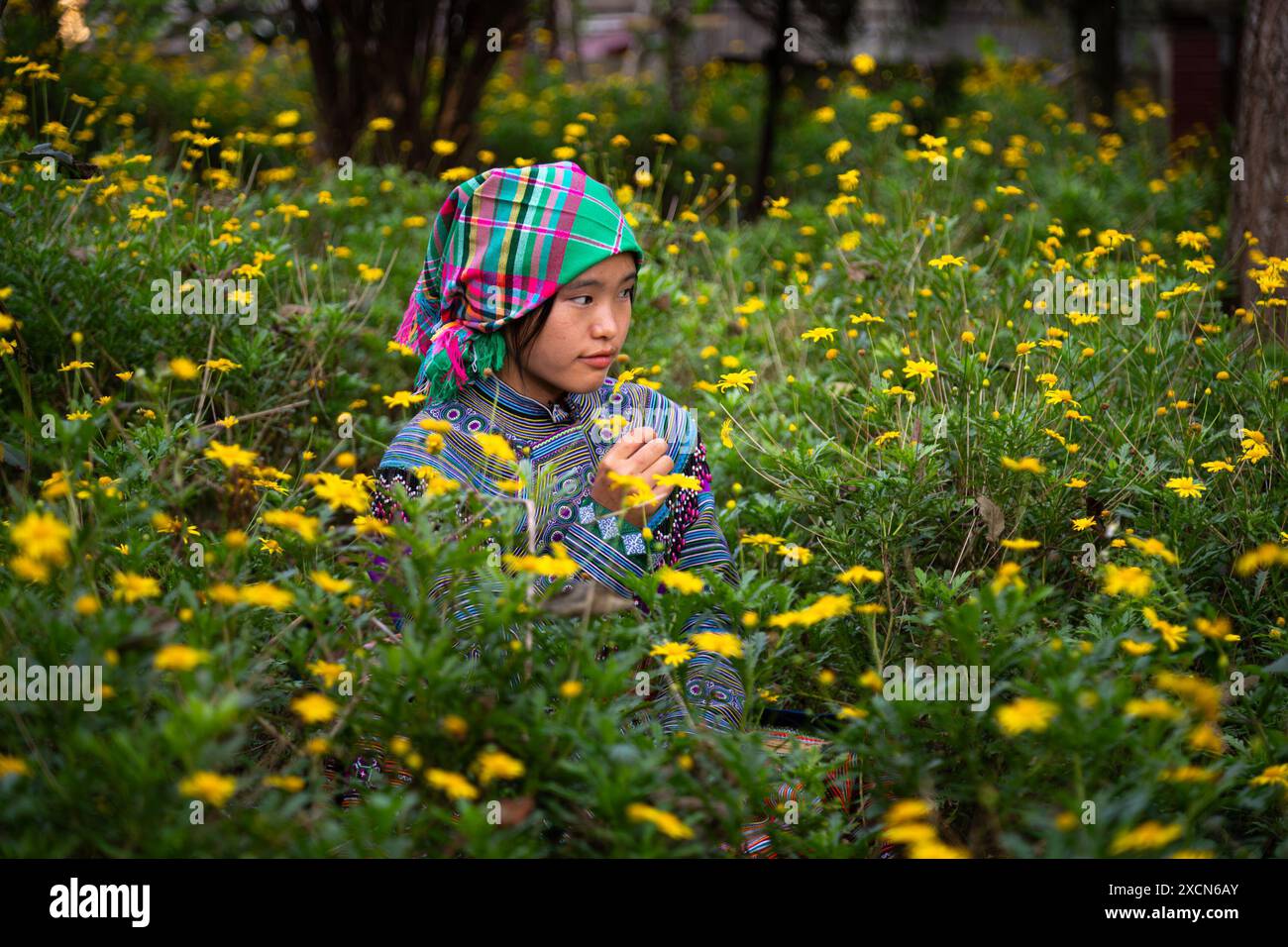 Flower Hmong women at the Hmong Kings Palace (Vau Meo) in Bac Ha, Lao ...