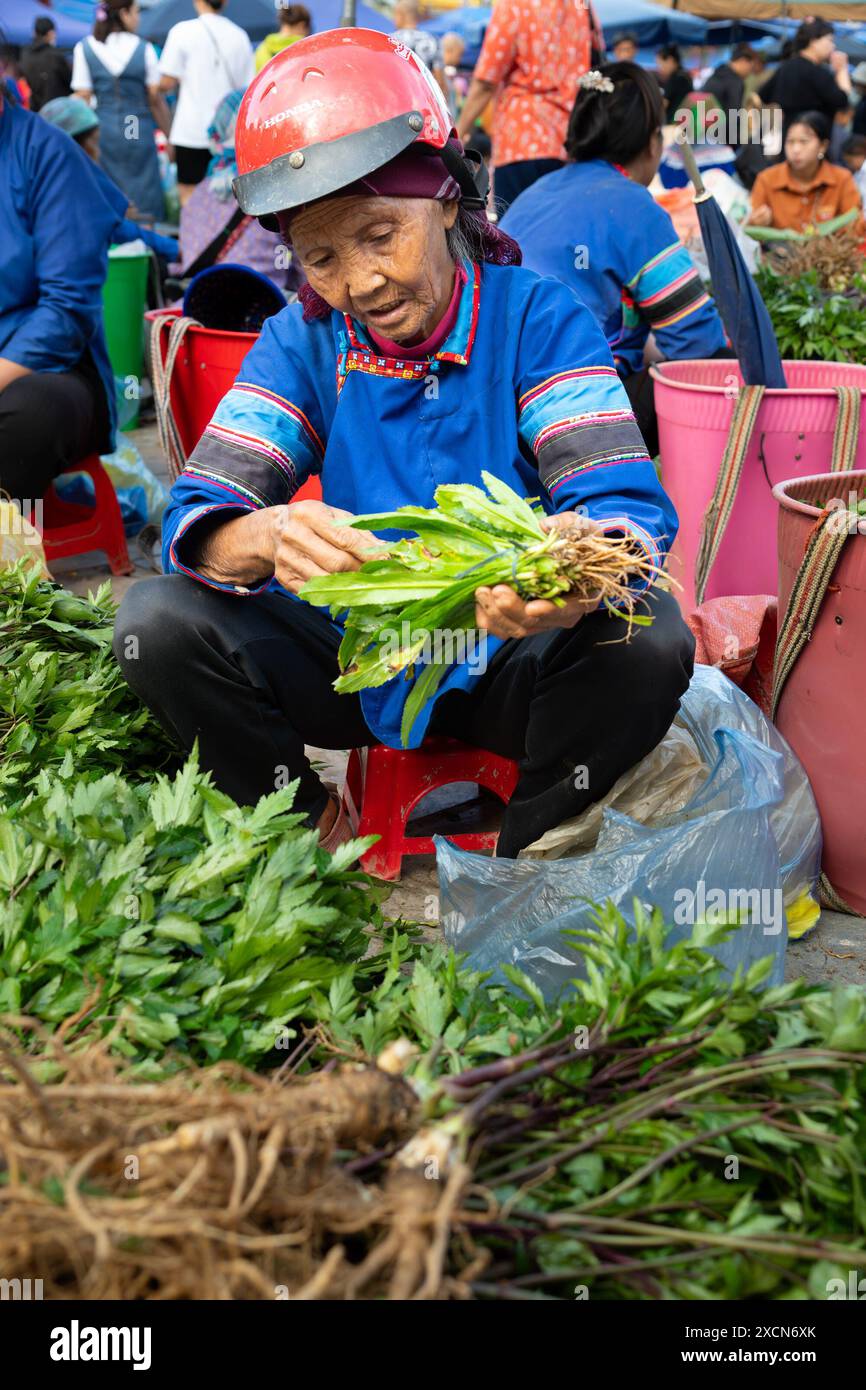 Hmong woman selling fresh produce at Bac Ha market, Lao Cai Province ...