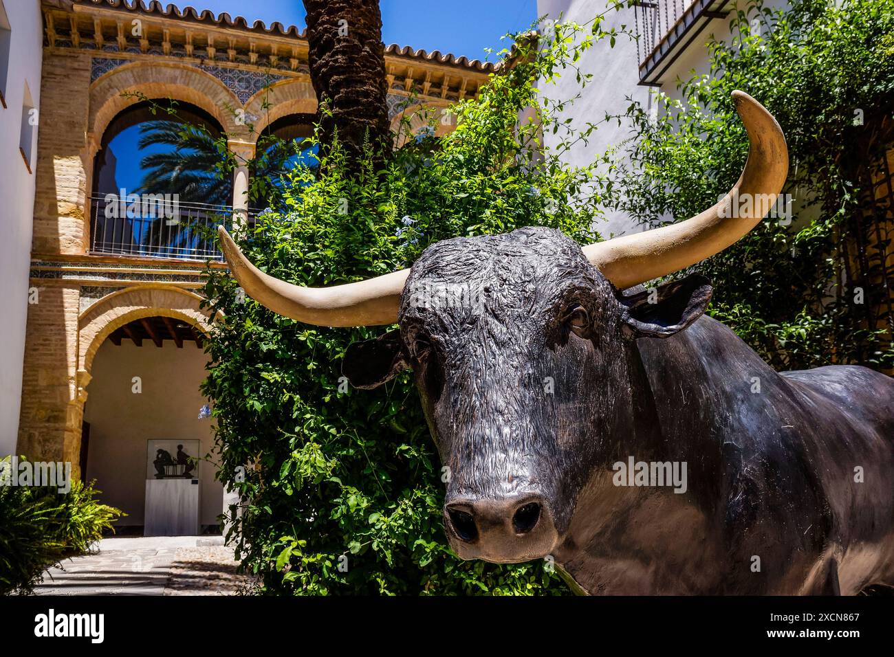 Bullfighting museum hi-res stock photography and images - Alamy