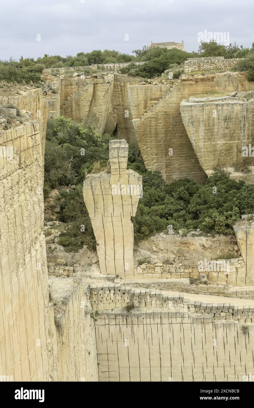 A breathtaking view of the intricate stone carvings and structures at ...