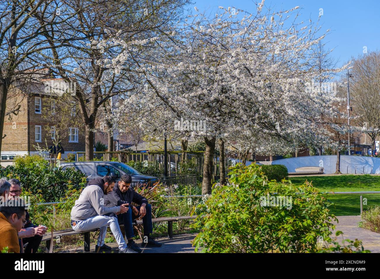 People sit on benches talking at Bernie Spain Gardens, with Cherry ...