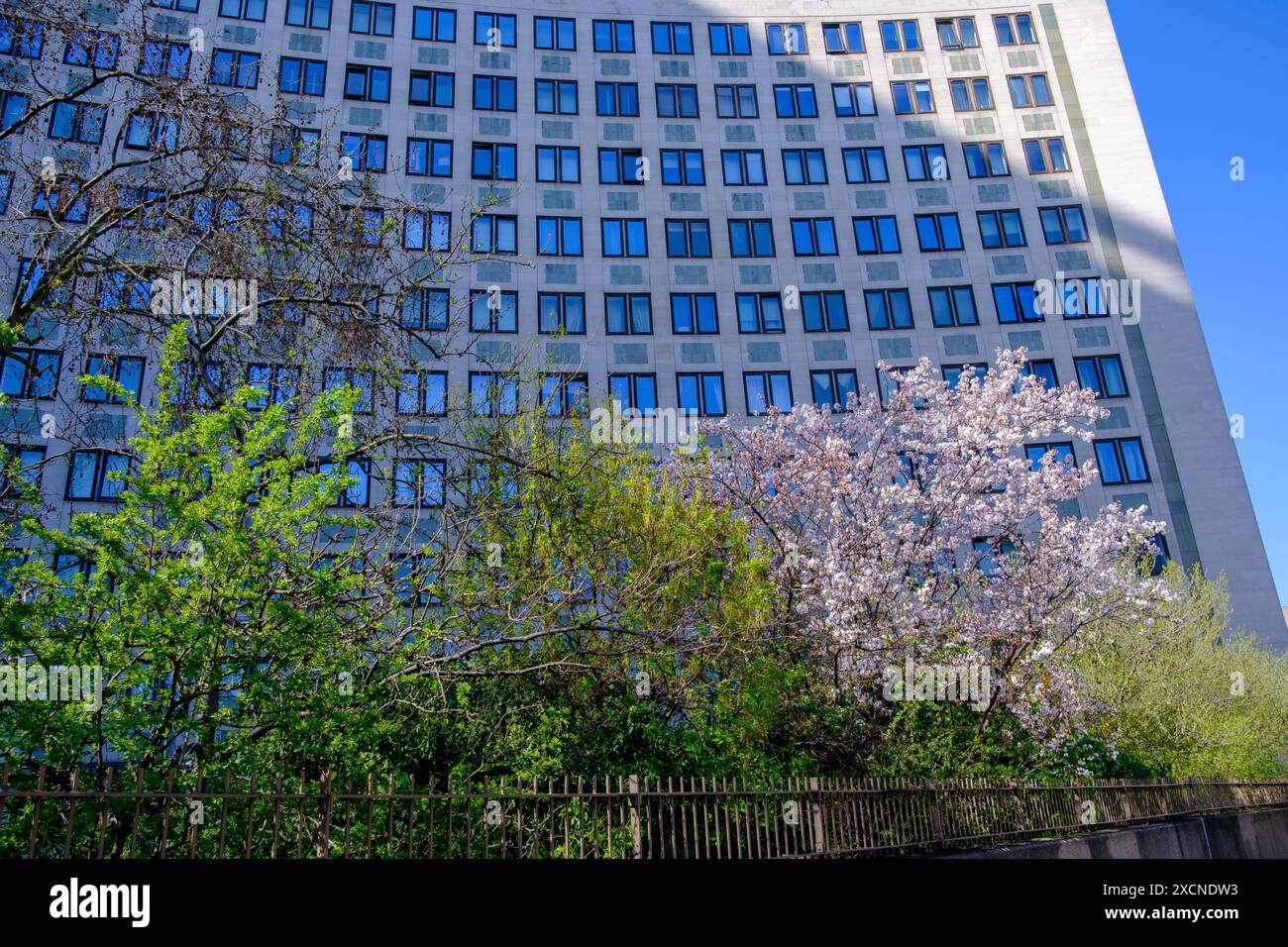 Large residential high rise building behind trees beginning to bloom ...