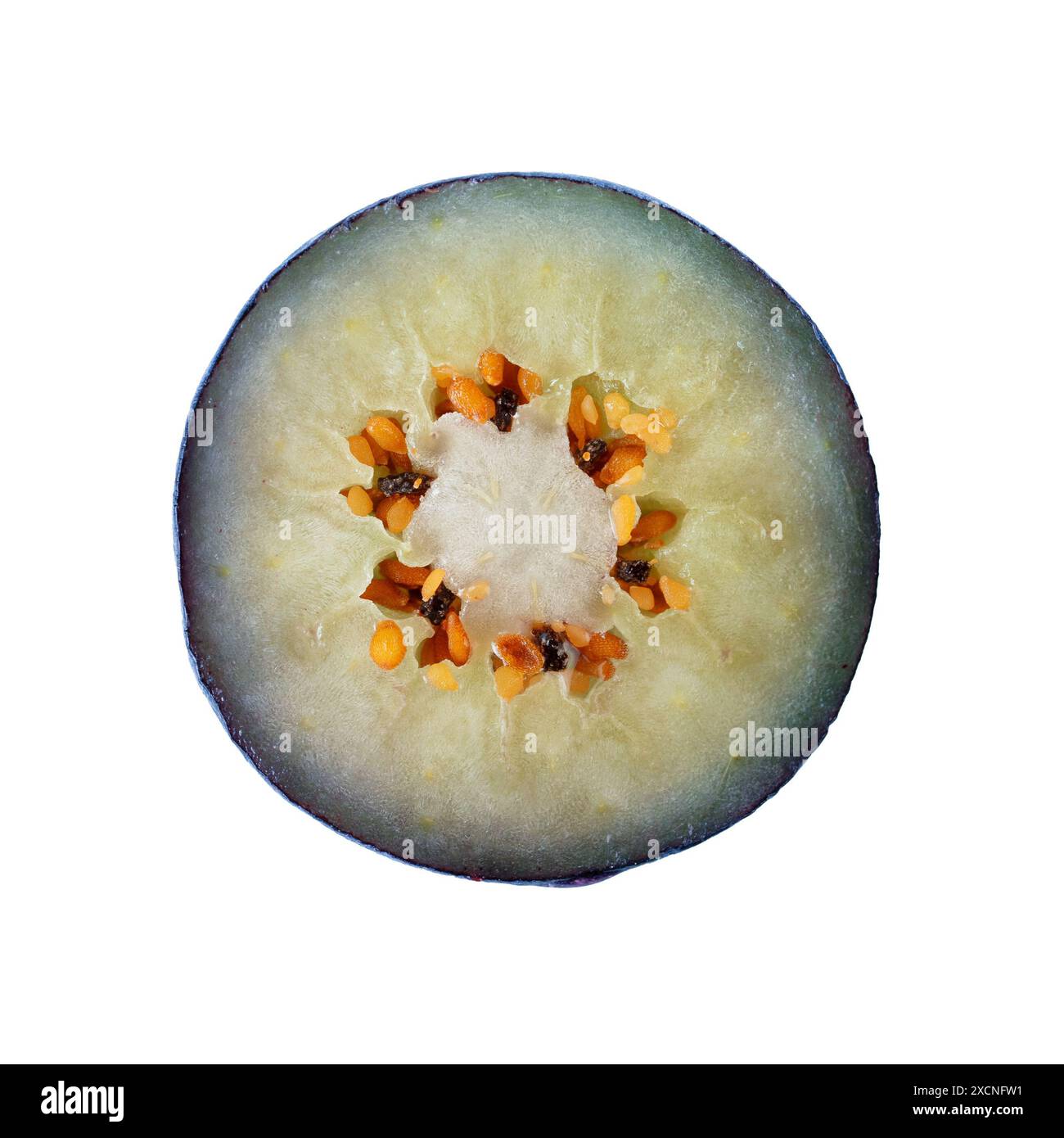Macro shot of cut blueberry isolated on white background with clipping ...