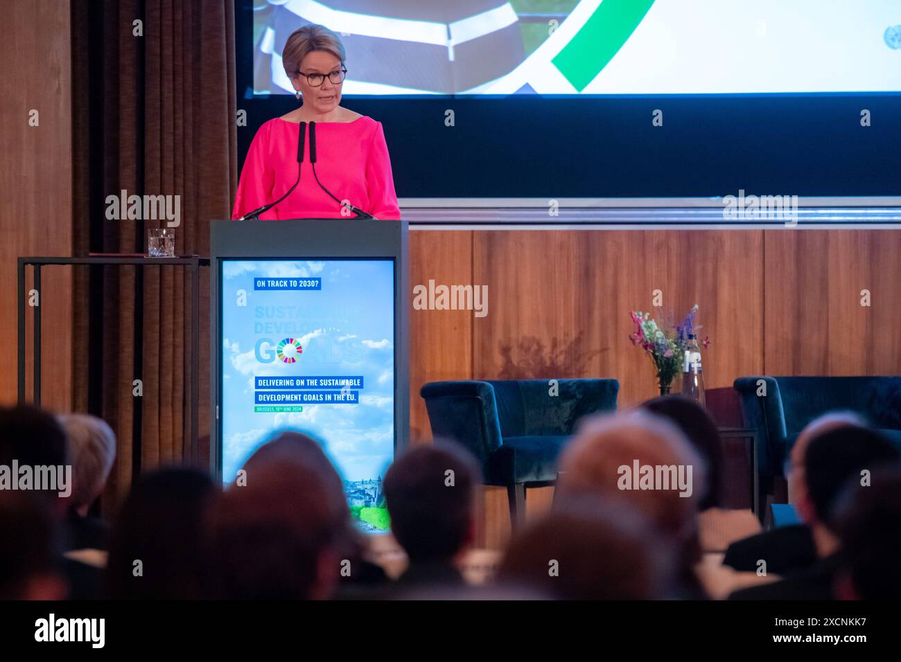 Queen Mathilde of Belgium is seen at a conference on the application of ...