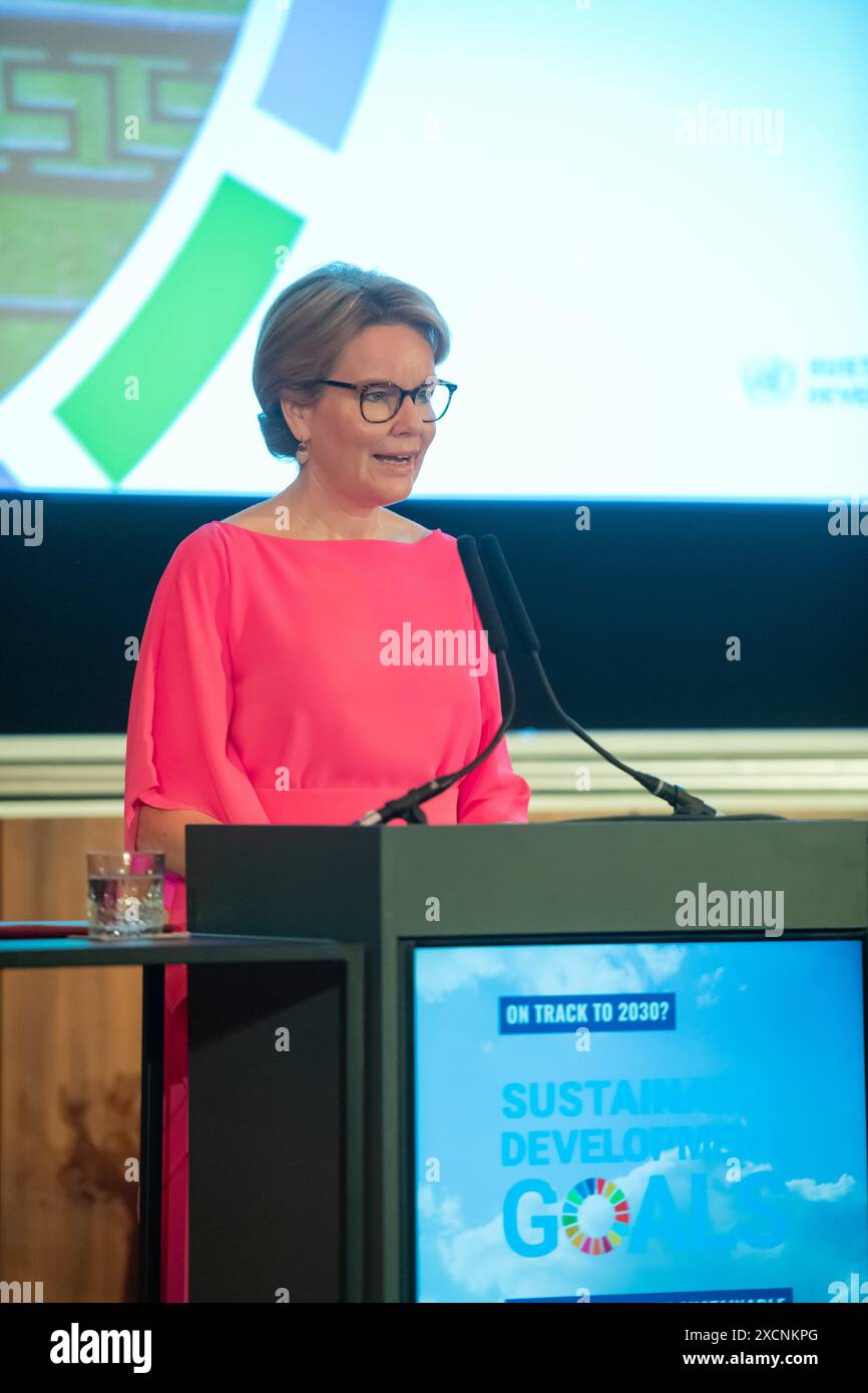 Queen Mathilde of Belgium is seen at a conference on the application of ...