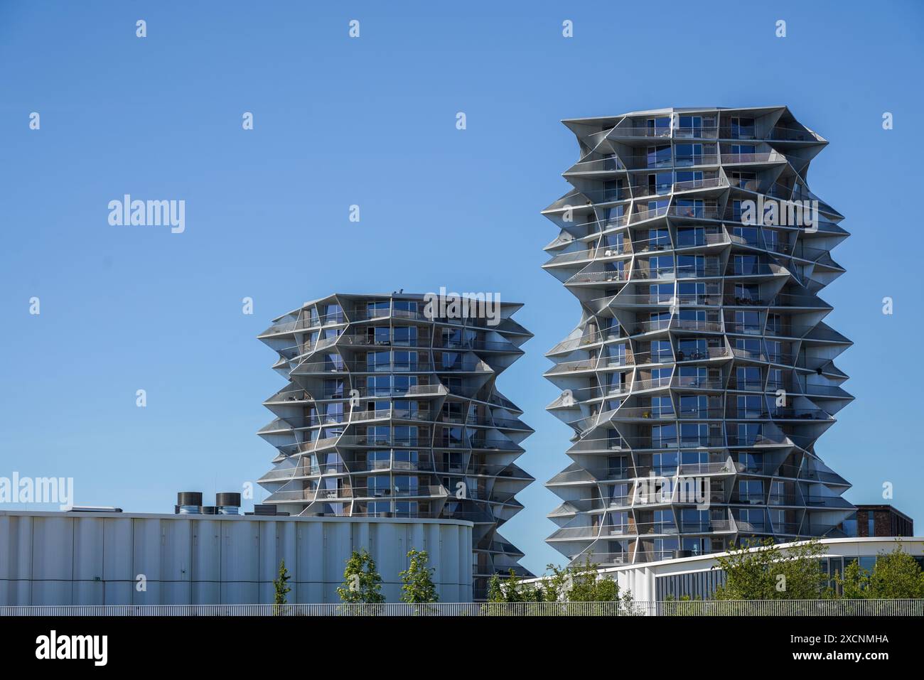 Real cactus hi-res stock photography and images - Alamy