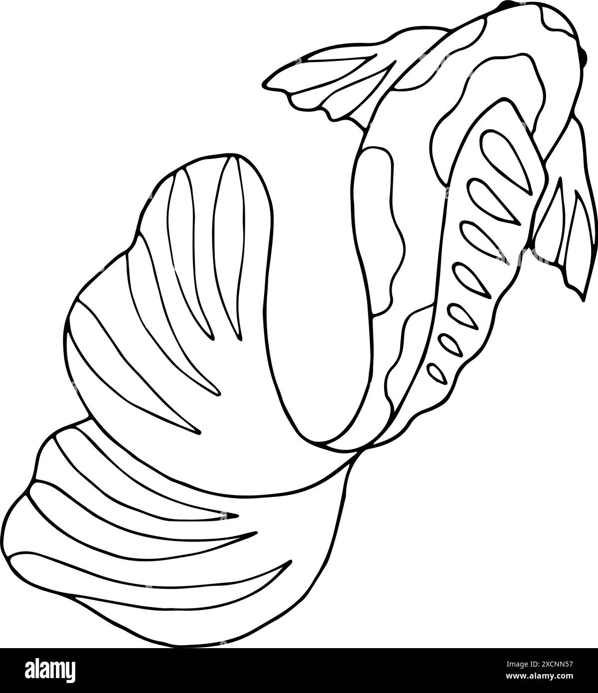 Black line graphics of fish. Outline illustration with sea animals ...