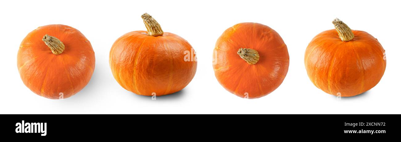 Set of fresh ripe orange pumpkin from different angles and positions ...