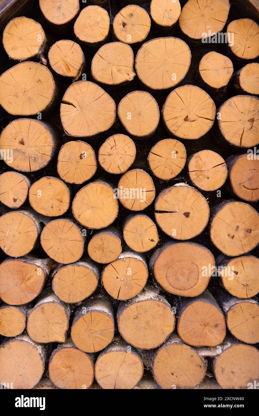 Exactly sawn and beautifully laid tree branches Stock Photo - Alamy