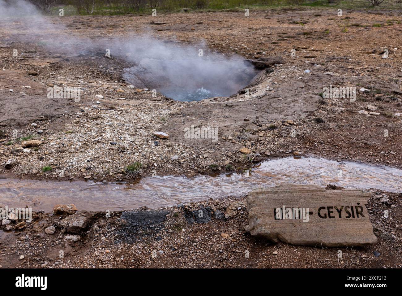 Little Geyser (Litli Geysir) simmering and steaming with information ...
