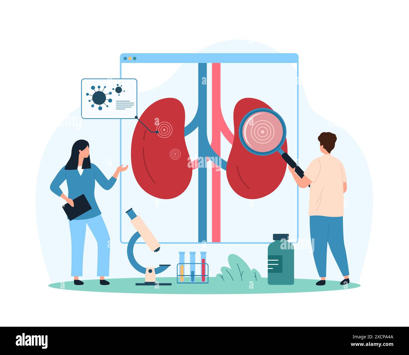 Examination of kidneys and urinary system for infection, awareness of ...