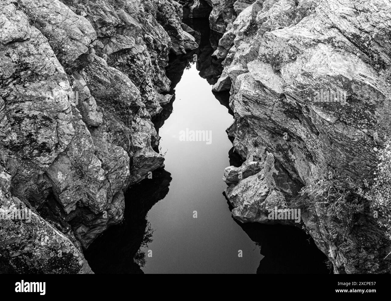 Geometrical Forms in Nature Stock Photo - Alamy
