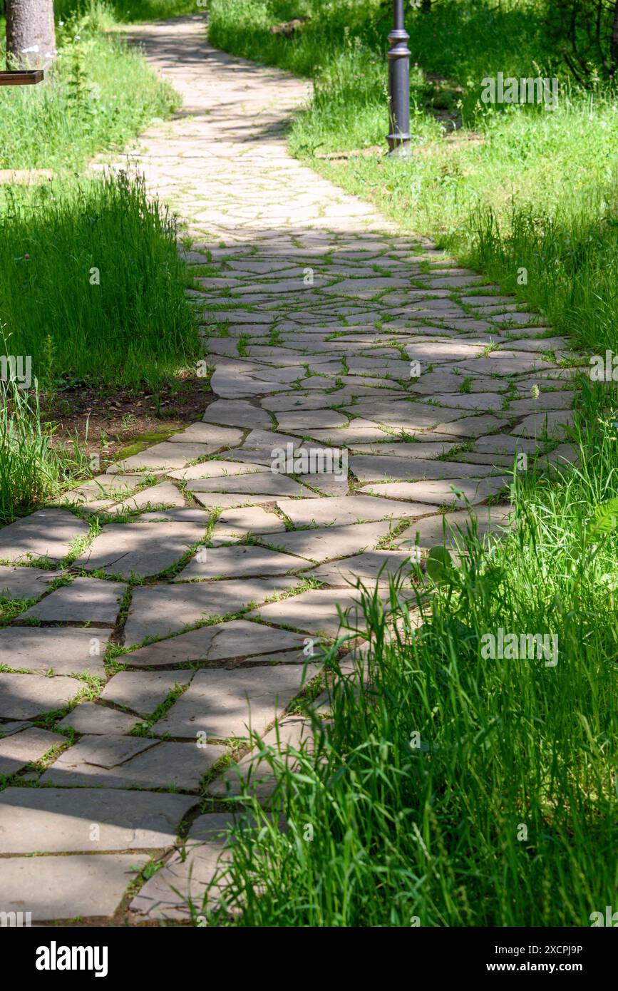 Stone trail in the park, eco trail for walking. Healthy lifestyle Stock ...