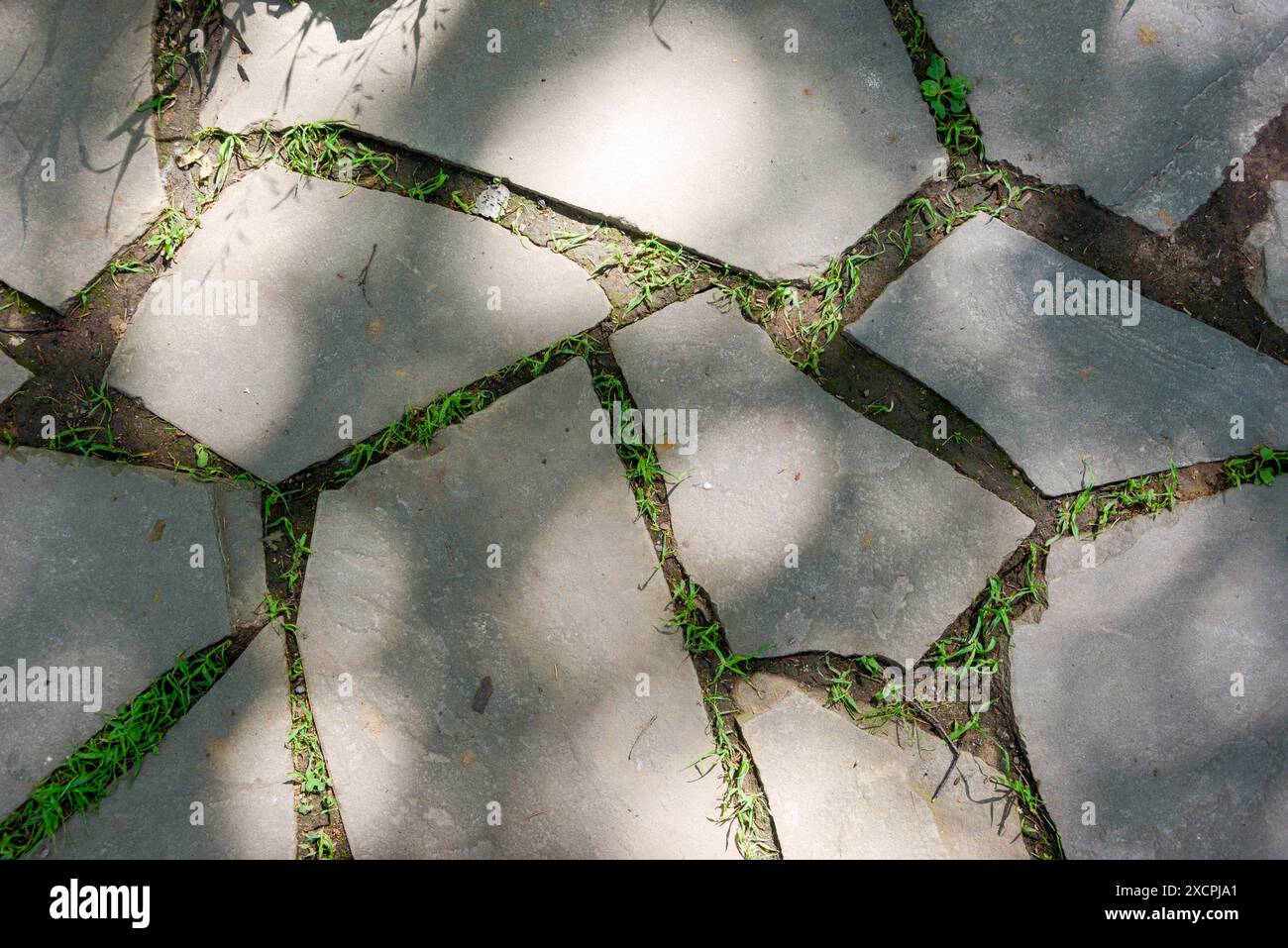 Stone or mica slabs used to make paths in the park, an eco-trail for ...
