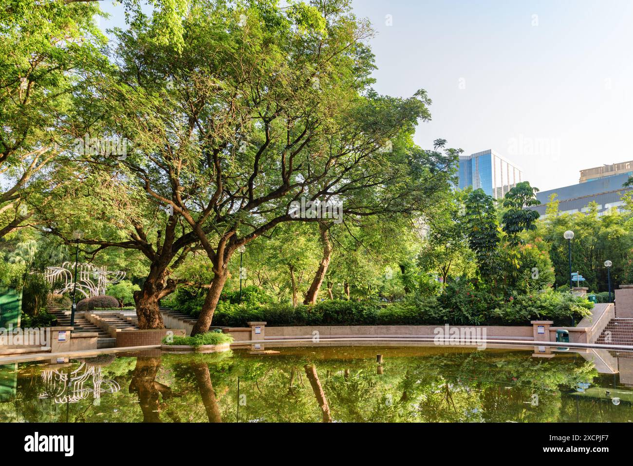 Scenic view of green trees reflected in water at Kowloon Park in Hong ...