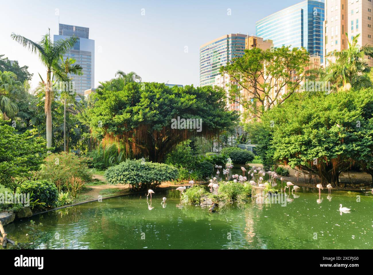 Wonderful morning view of Bird Lake at Kowloon Park in Hong Kong ...