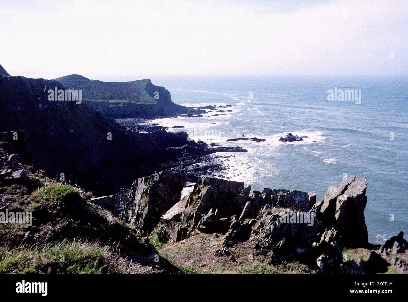 Morwe hi-res stock photography and images - Alamy