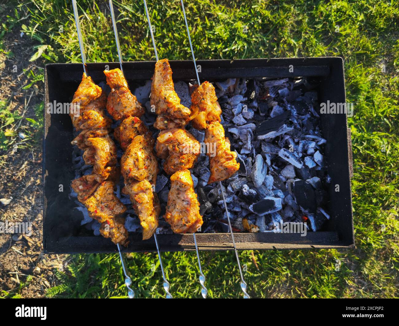Cooking pork grilled meat on coals on a grill in nature Stock Photo - Alamy