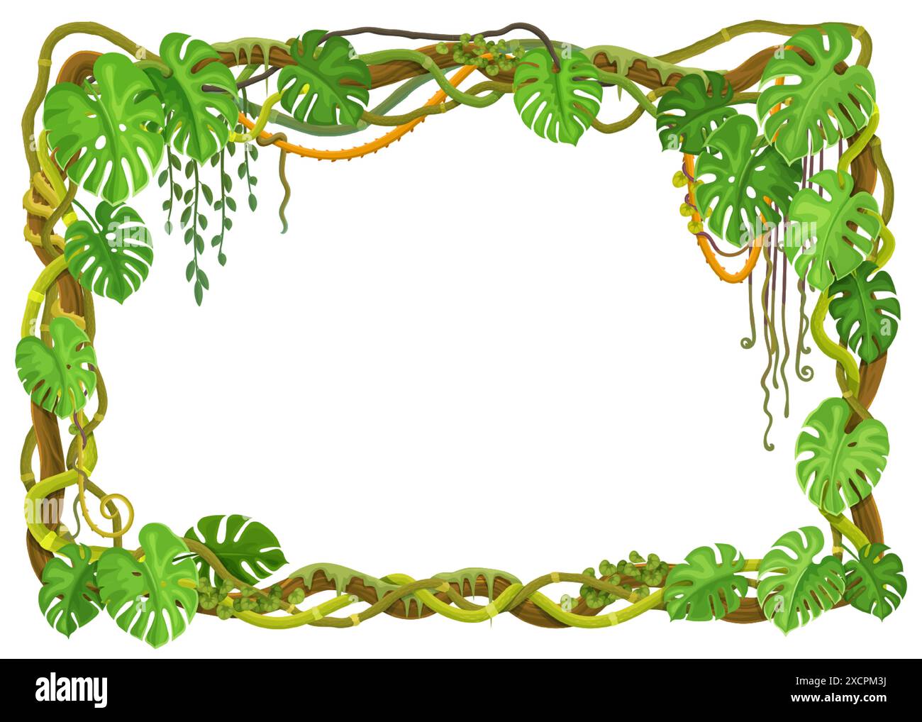 Jungle Cartoon Border