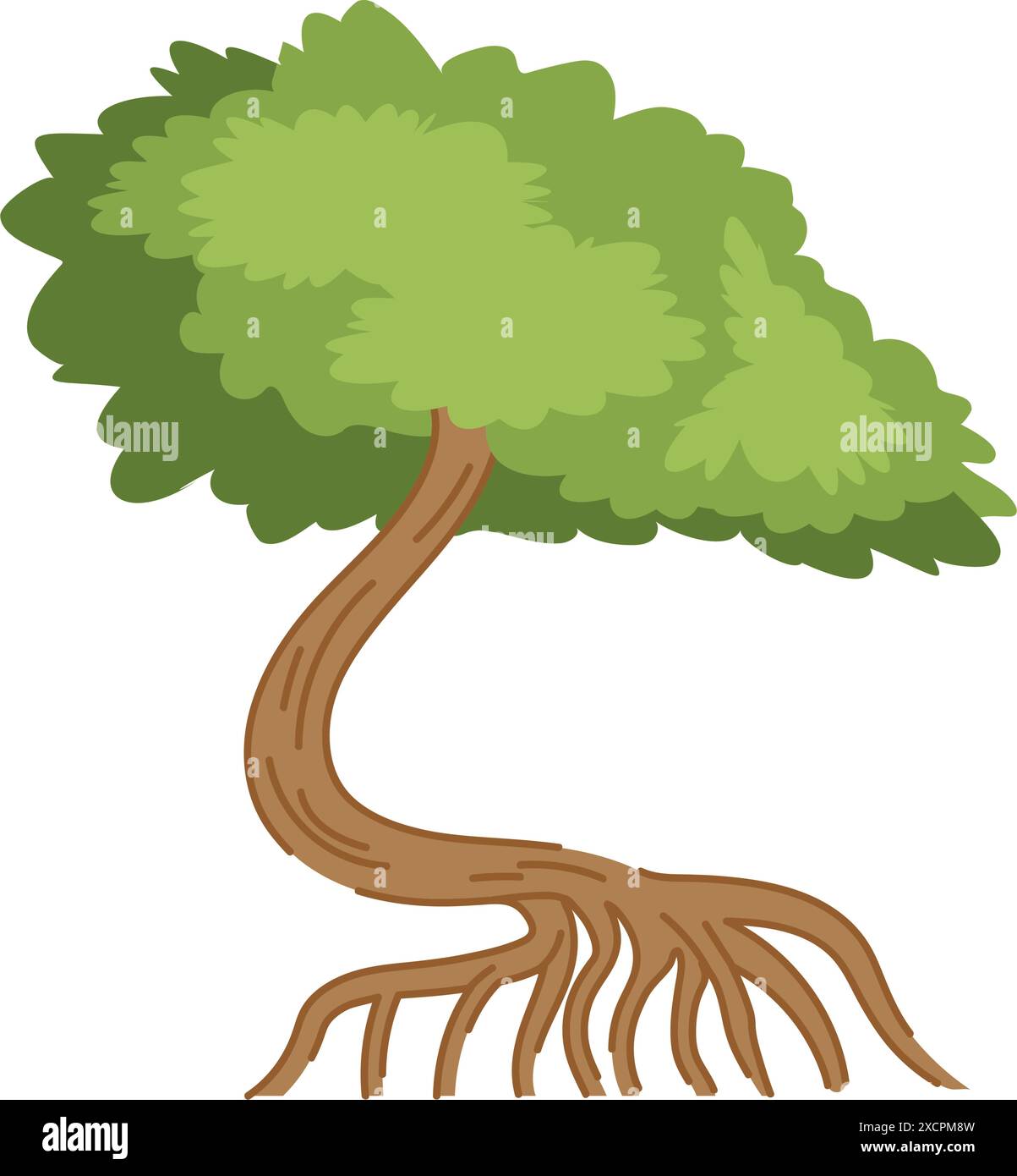 vibrant mangrove tree and roots Stock Vector Image & Art - Alamy