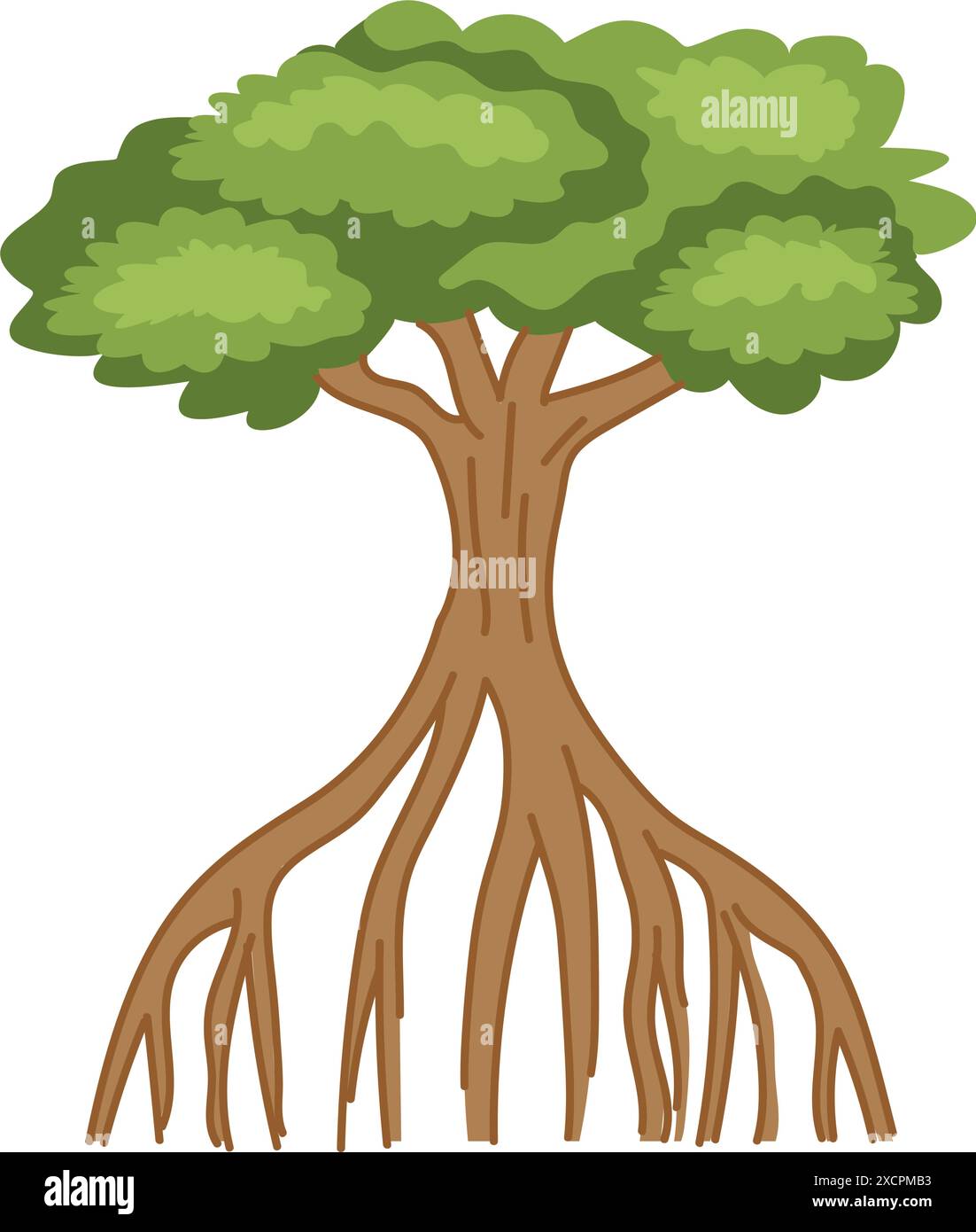 mangrove tree and roots Stock Vector Image & Art - Alamy