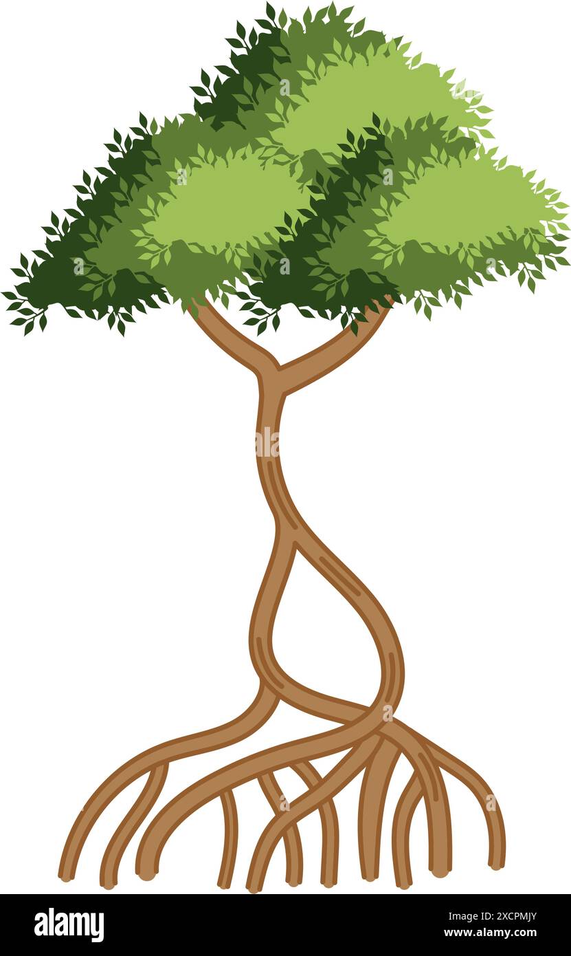 mangrove forest landscape scene Stock Vector Image & Art - Alamy