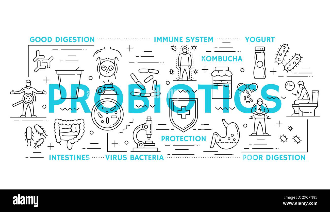 Gut flora infographics hi-res stock photography and images - Alamy