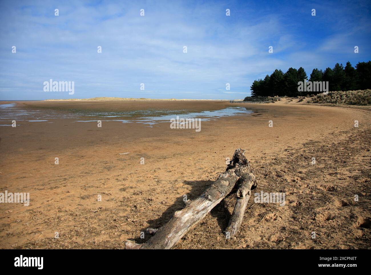 PPL PHOTO LIBRARY - COPYRIGHT RESERVED Driftwood on Holkham Beach ...