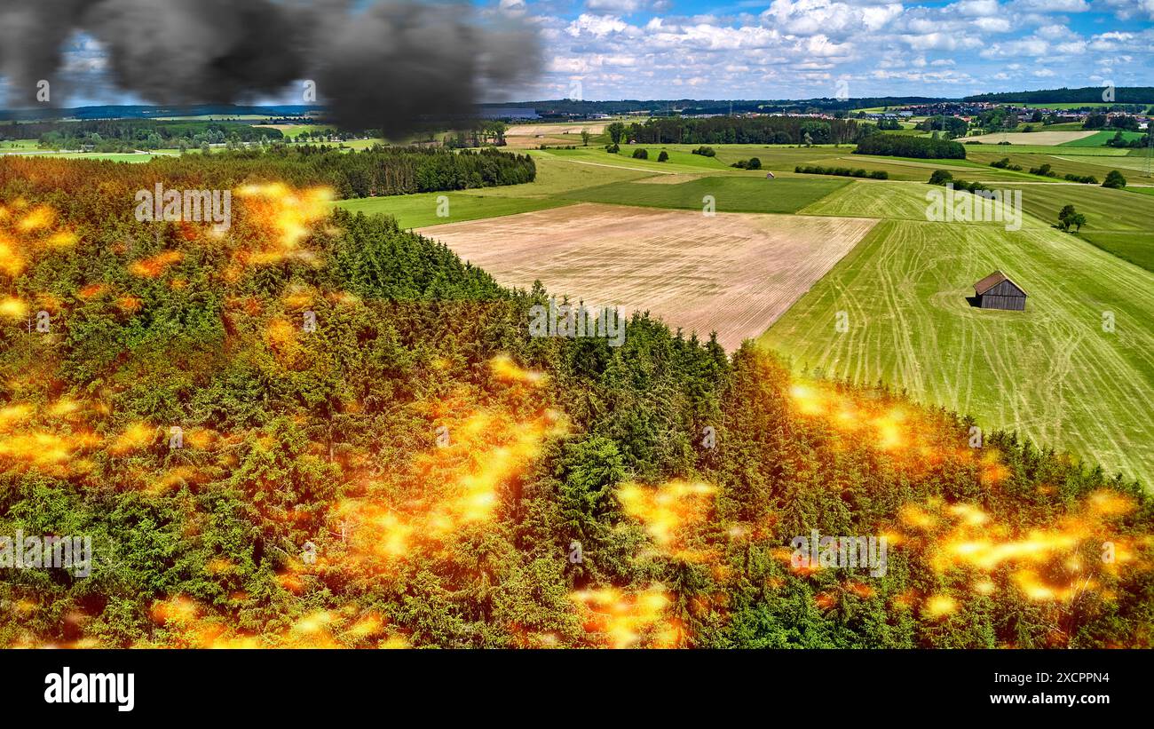 Wald und flammen hi-res stock photography and images - Alamy