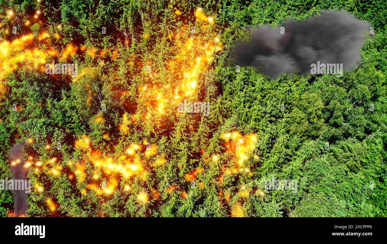 Wald und flammen hi-res stock photography and images - Alamy