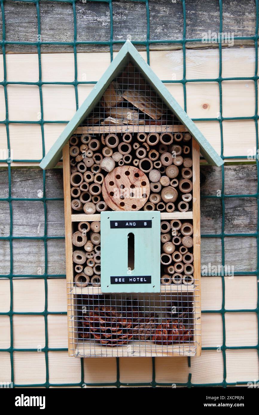 Natural History, Insects, B and B Bee Hotel for bees and bugs in a ...