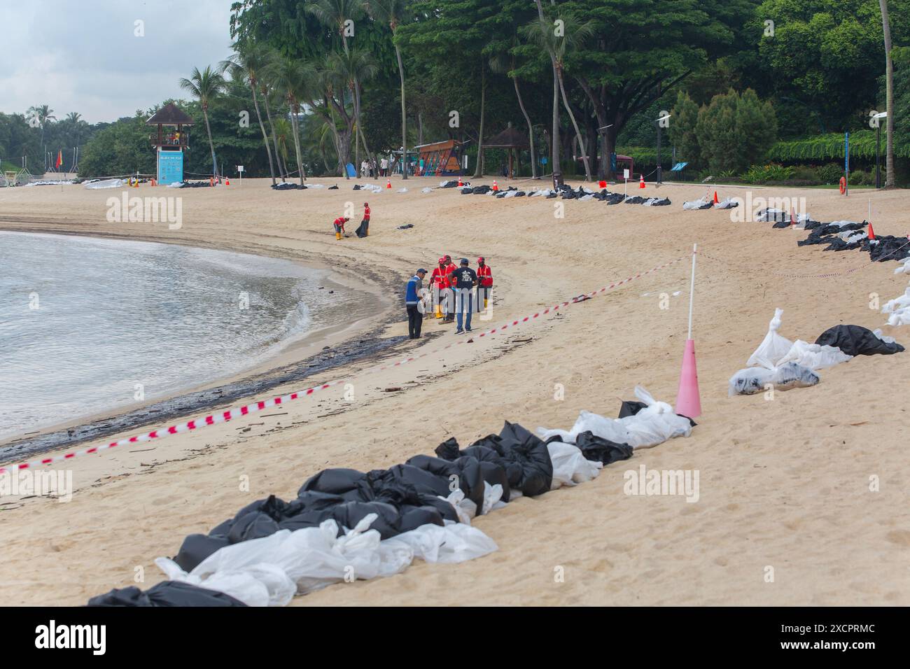 Workers are cleaning up oil spill along Palawan beach, rows of ...