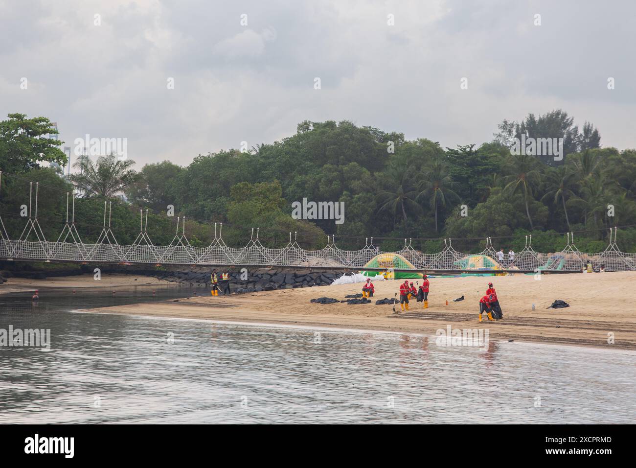 Workers are cleaning up oil spill along the coastline at Palawan Beach ...